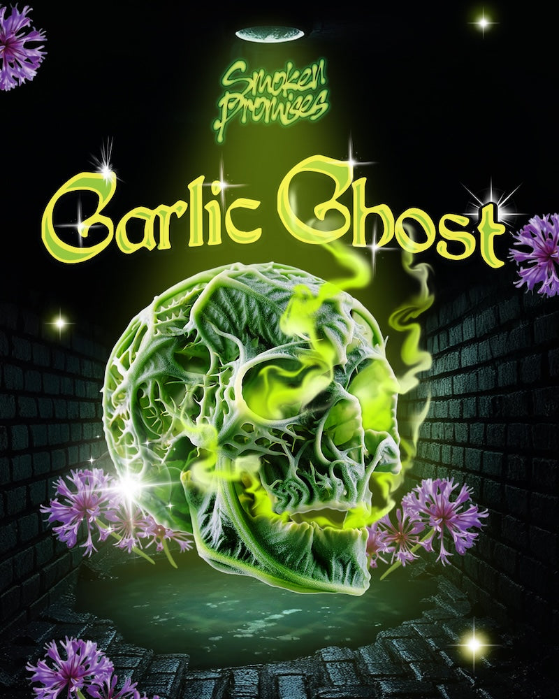 Garlic Ghost Strain: A Haunting You’ll Want to Feel – Smoken Promises
