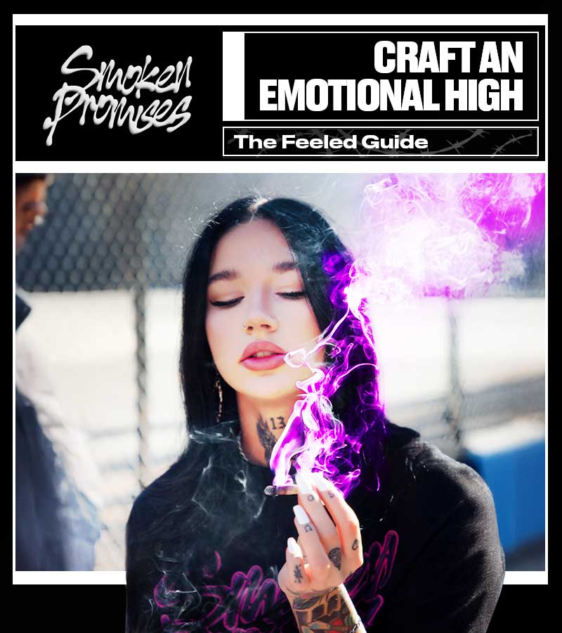 Feeled Guide: The High That Matches Your Mood – Smoken Promises